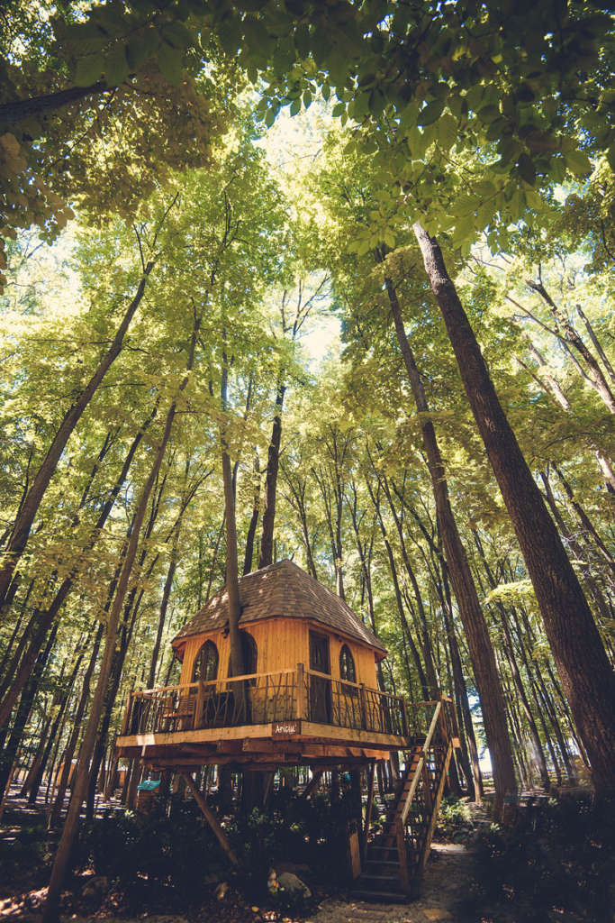 Photo gallery treehouses | Edenland Park | A great adventure
