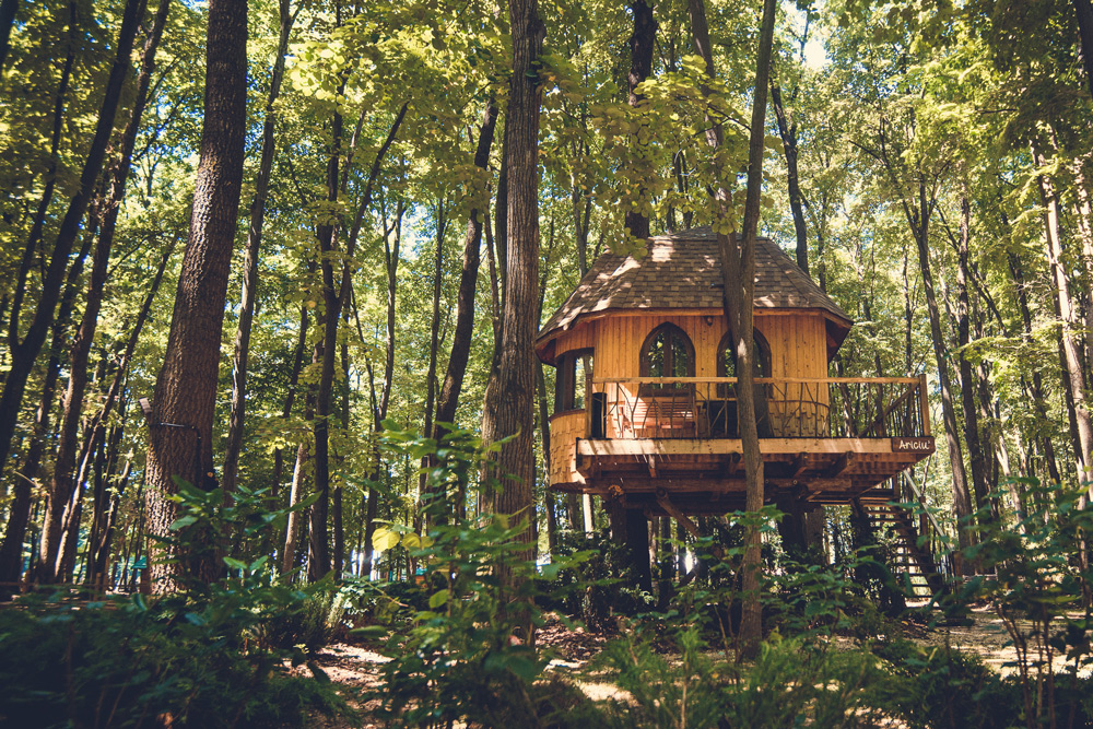 Photo gallery treehouses | Edenland Park | A great adventure