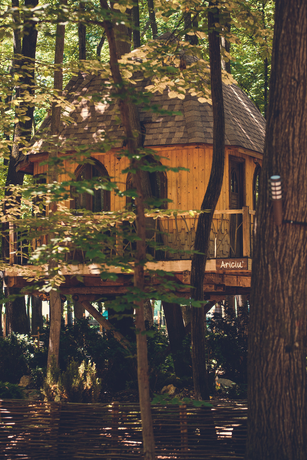 Photo gallery treehouses | Edenland Park | A great adventure