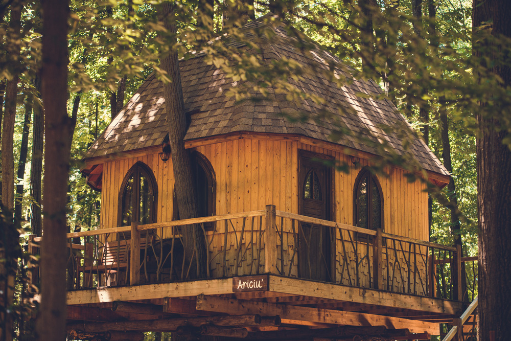 Photo gallery treehouses | Edenland Park | A great adventure
