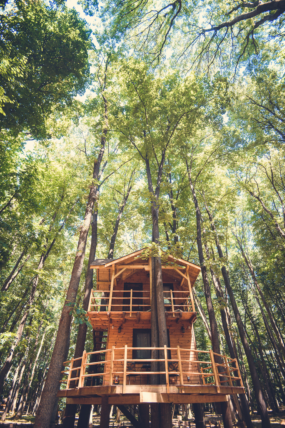 Photo gallery treehouses | Edenland Park | A great adventure